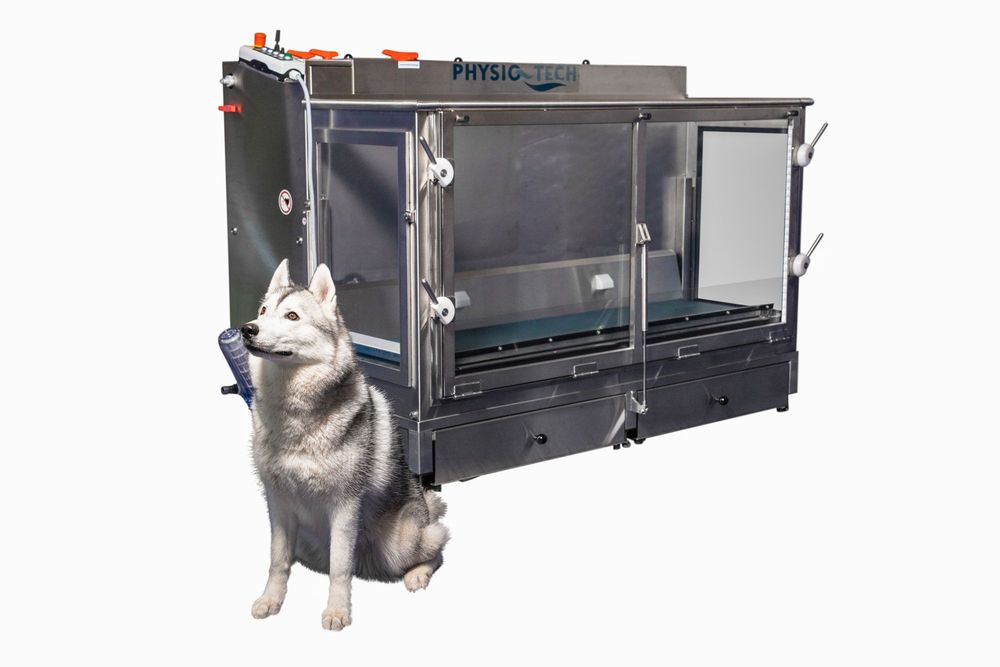 Underwater treadmill for dogsPREMIUM